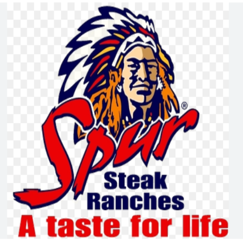 Spur Marinade Braai Time, 500ml Bottle. — WELKOM USA